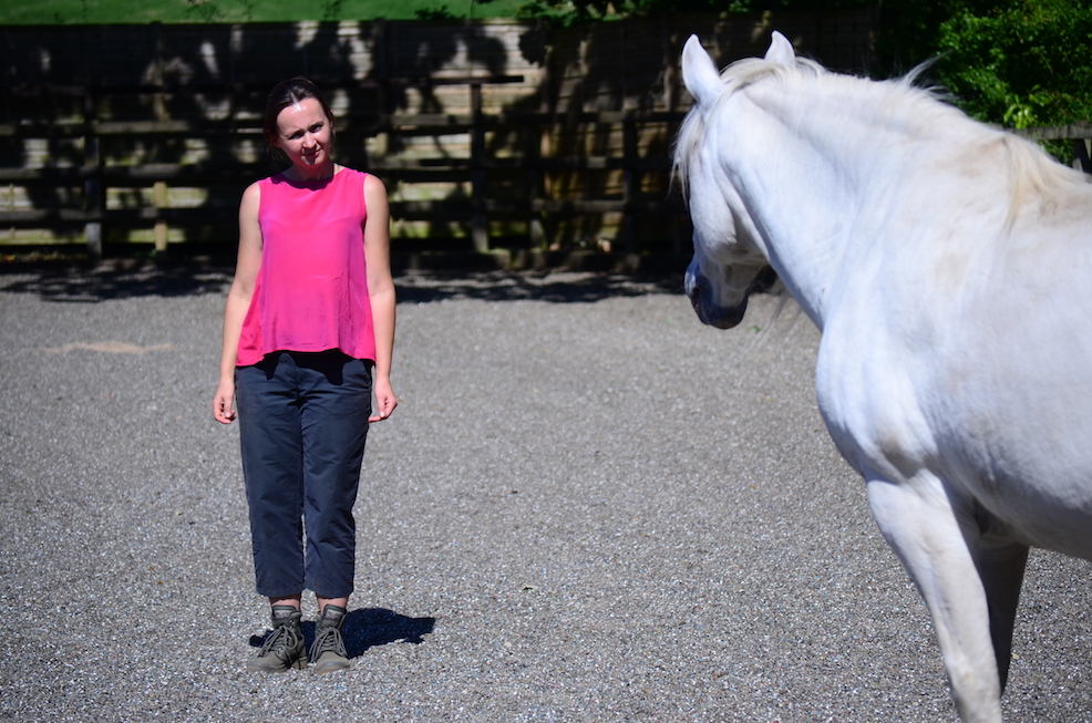 DM Integration – Leadership t h r o u g h Integration