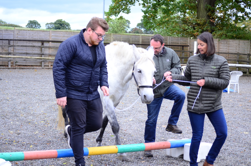 DM Integration – Leadership t h r o u g h Integration