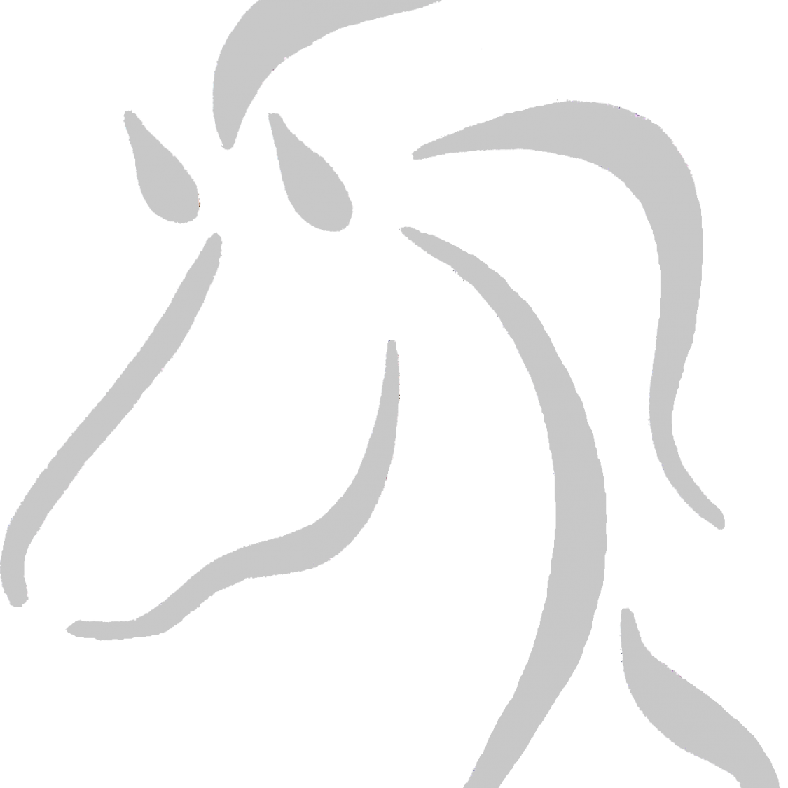 Our Model – DM Integration