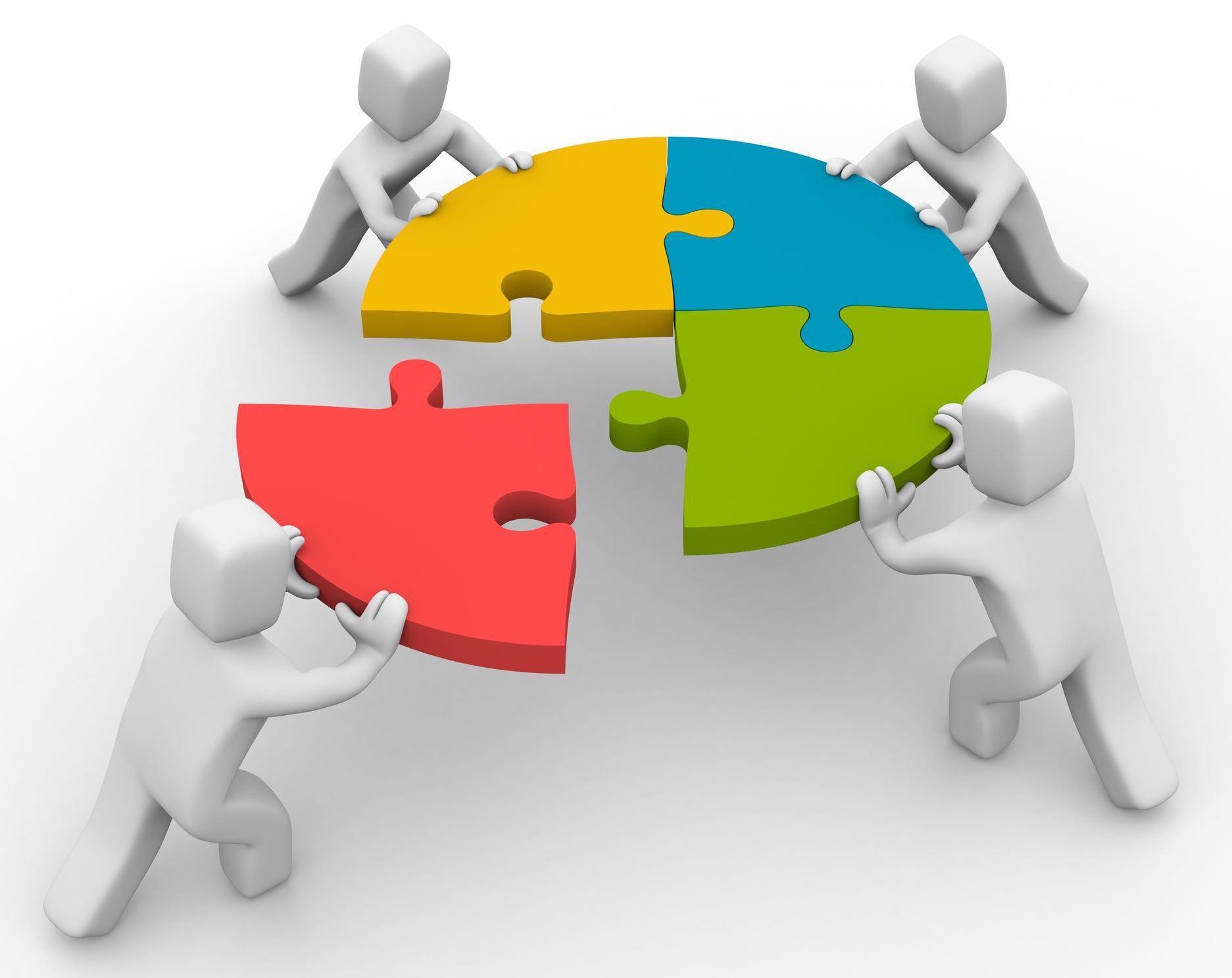 DM Integration – Leadership t h r o u g h Integration