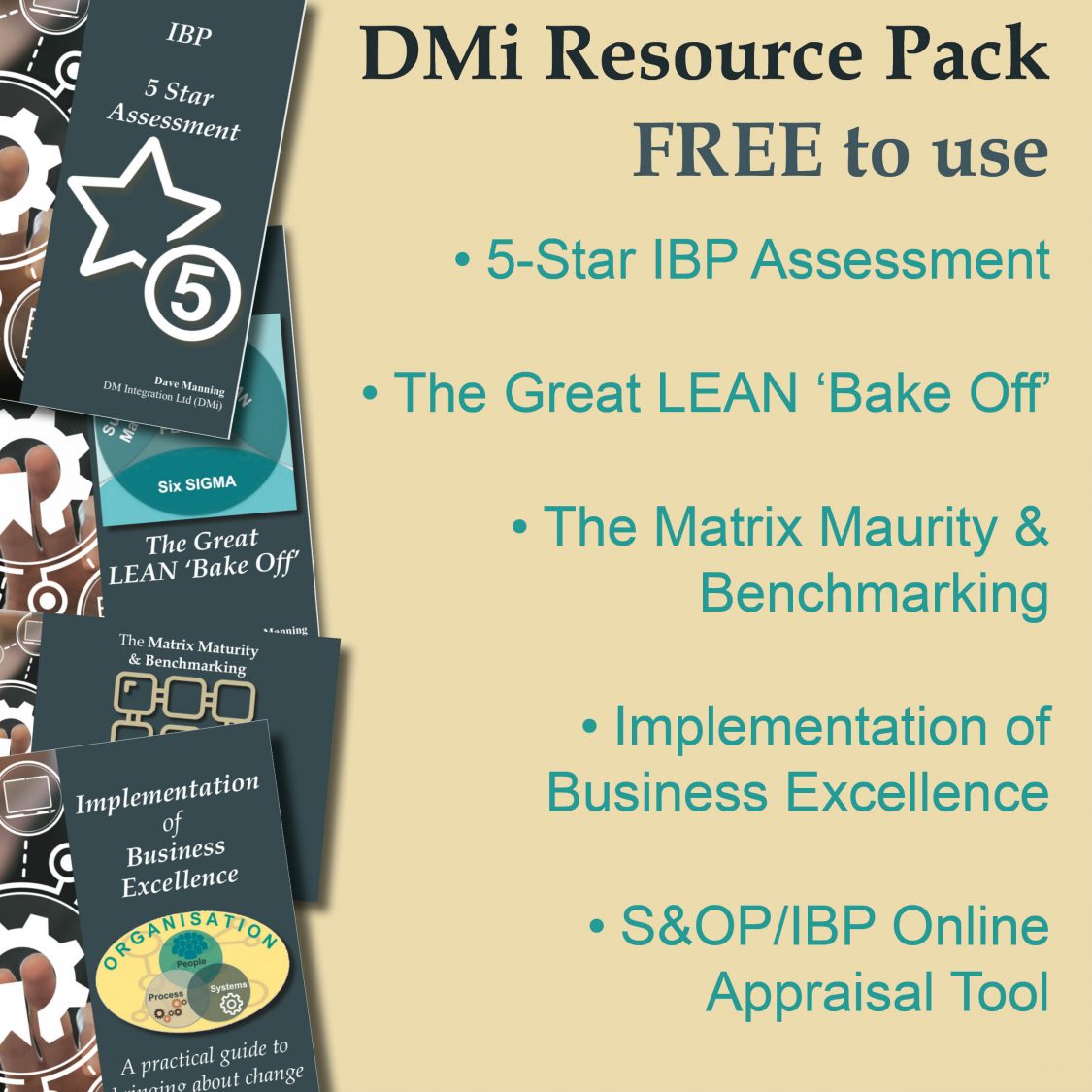 DM Integration – Leadership t h r o u g h Integration